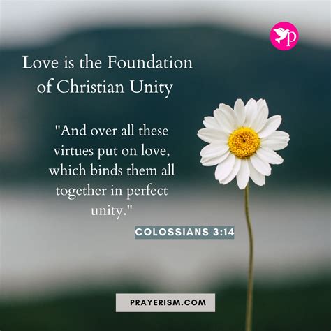 10 Importance Of Love In The Bible And How It Shapes Christian Living