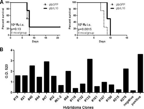 In Vivo Utility Of R3lcmv Expressing Il 10 A Lcmv Mediated