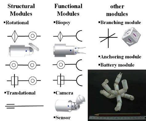 Various Designs Of The Robotic Modules Download Scientific Diagram
