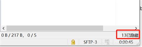 winscp显示隐藏文件 csdn博客