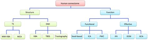 a schematic overview of the different neuroimaging techniques available download scientific