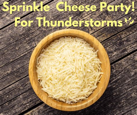 Sprinkle Cheese Party For Thunderstorms Pawsitive Connection
