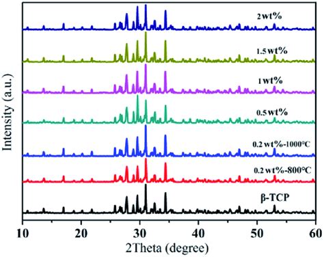 Xrd Patterns Of β Tcp And X Wt G β Tcp Download Scientific Diagram
