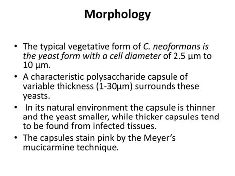 Cryptococcus Pptx Cryptococcus Pptx