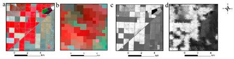 Assessment Of Fsdaf Accuracy On Cotton Yield Estimation Using Different Modis Products And