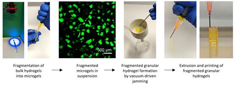 Fabricating Granular Hydrogels For 3d Printing Lrsm
