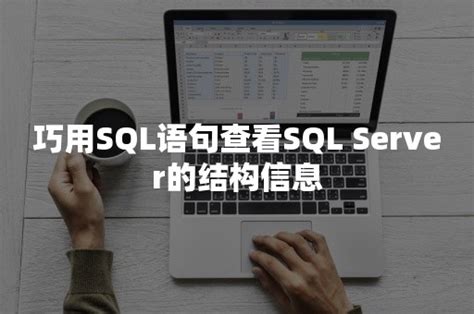 巧用SQL语句查看SQL Server的结构信息 PingCAP 平凯星辰