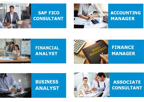 Master Sap Fico Financial Accounting And Controlling Course Anubhav