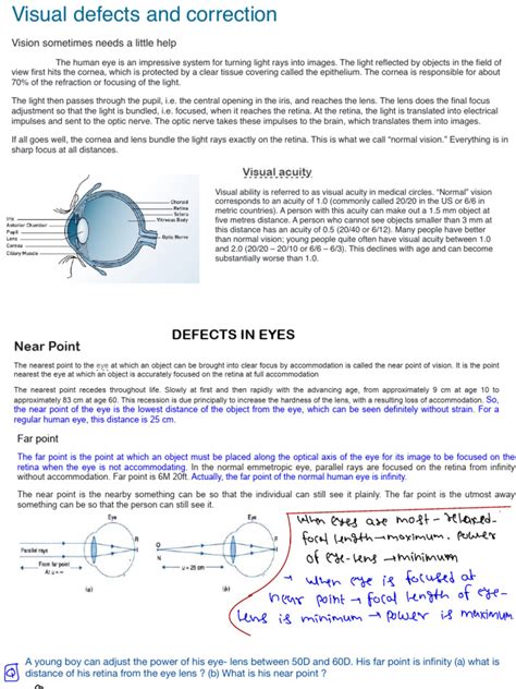 Visual Defects Pdf Visual Acuity Facial Features