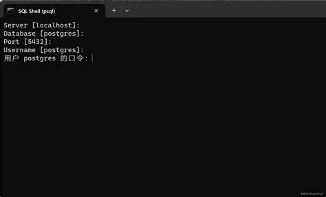 Mimic Iii数据库申请完后如何使用（将数据导入postgressql，通过pgadmin4查看、管理及导出数据）pgadmin导出数据