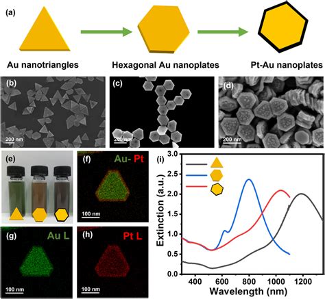 A Schematic Illustrating The Preparation Of Pt Au Nanoplates Bd