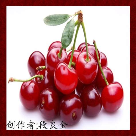 櫻桃的主要價值 每日頭條