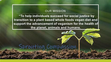 Sprouting Compassion Planting Seeds Of Compassion For All
