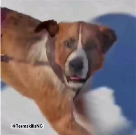 Rajan Mehra On Linkedin Leadership Leadershipskills Leadershipmatters Problemsolving