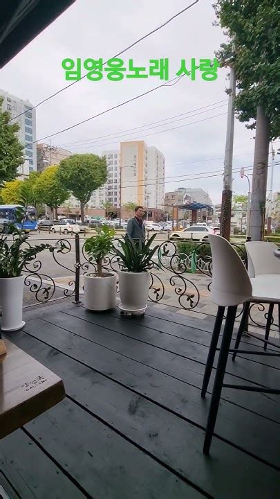 24년 10 월 13일 어느 피자집 카페서 커피을 마시며♡♡♡ Youtube