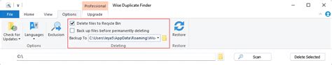 The User Guide Of Wise Duplicate Finder