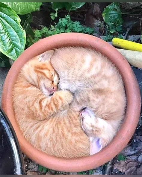 Perfect Things Youtube