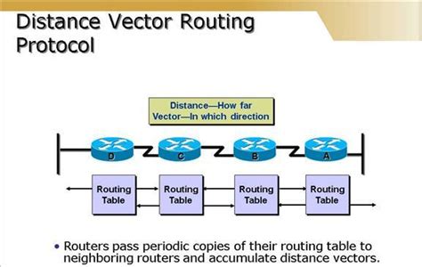 Distance Vector Protocol Commands Review Exams