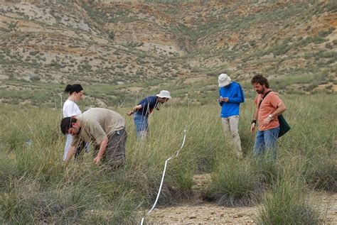 Deciphering Spatial Patterns Can The Spatial Arrangement Of Dryland Vegetation Inform Us About