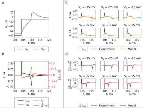 The Model Accounts For Voltage Clamp Experimental Artifacts Download Scientific Diagram