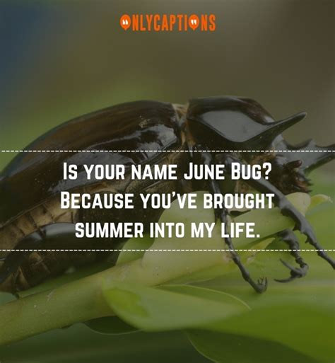 850 Bug Pick Up Lines 2025 Fly High With Flirting