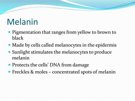 Ppt Integumentary System Powerpoint Presentation Free Download Id