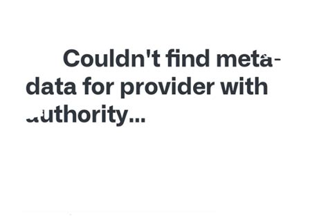 error couldn t find meta data for provider with authority delphi