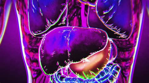 Kengan Ashura 3 Capitulo 6 Netflix Series Audio Eporner