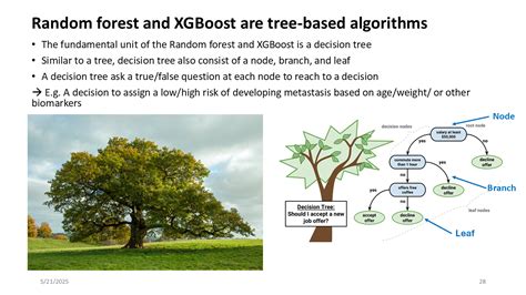 Anomaly Detection With Isolation Forest By Kyle Hammerberg Medium
