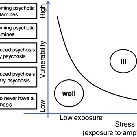 Stress Vulnerability Model The Relationship Between Amphetamine Use Download Scientific