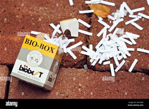 Box Of Bugs For Biological Pest Control Stock Photo Alamy