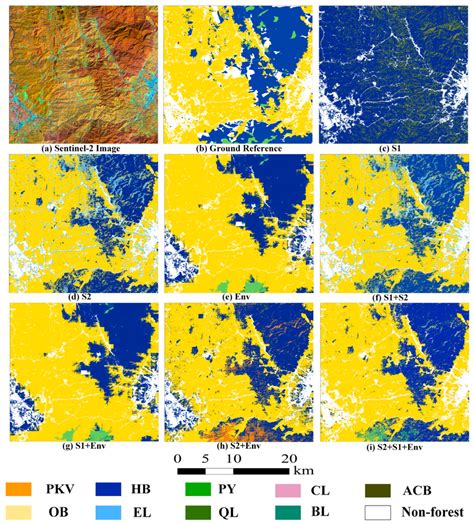Detailed View Of The Tree Species Maps With Better Interpretation Download Scientific Diagram