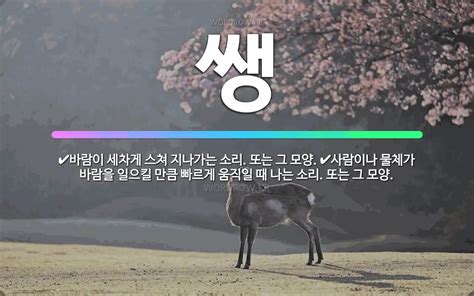 🌟쌩 바람이 세차게 스쳐 지나가는 소리 또는 그 모양 사람이나 물체가 바람을 일으킬 만큼 빠르게 움 표준국어대사전