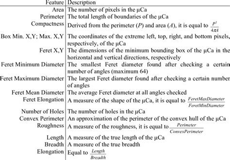 Initial Feature Set Used To Characterize The Segmented