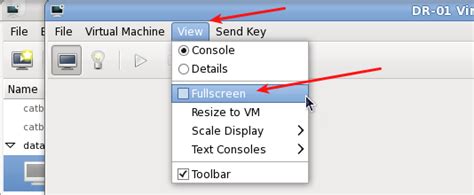 Linux How Do I Access The F8 Bootmenu While Booting A Windows 2008r2