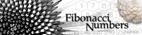 Fibonacci Numbers Token Rock