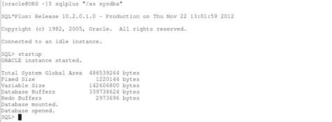 Linux Oracle服务启动 停止脚本与开机自启动 Merlin Tang 博客园