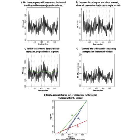 Depiction Of Detrended Fluctuation Analysis Download Scientific Diagram