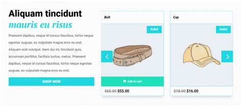Divi Plugin Highlight Divi Product Carousel Module