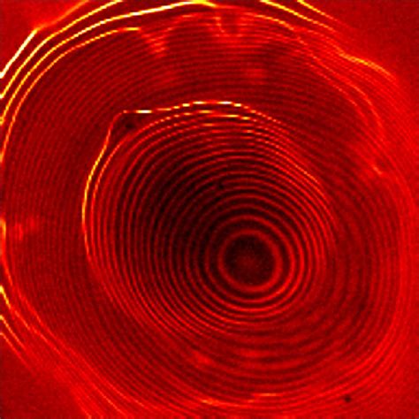 Coupled Quantum Dots May Offer A New Way To Store Quantum Information