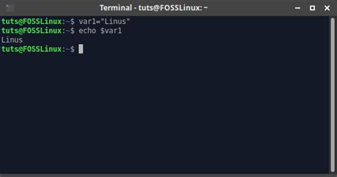 7 Echo Command Uses In Linux With Examples Foss Linux