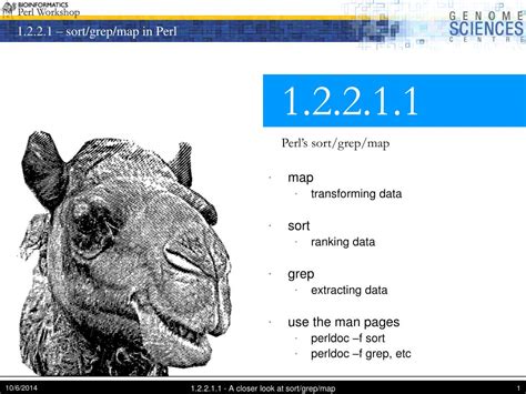 ppt 1 2 2 1 1 perl s sort grep map powerpoint presentation free