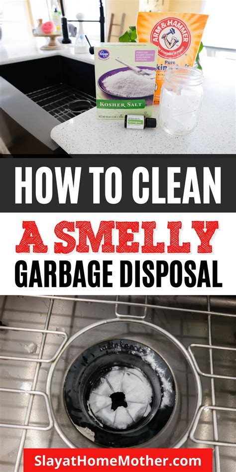 How To Clean A Garbage Disposal Cleaning Hack Slay At Home Mother