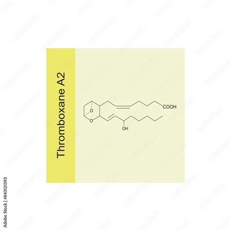 Thromboxane A2 Skeletal Structure Diagramprostanoid Compound Molecule