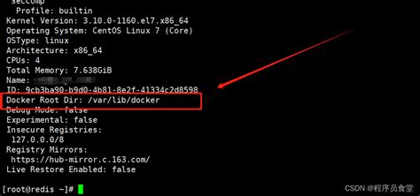 【docker】镜像使用（nginx 示例）docker Nginx 镜像 Csdn博客