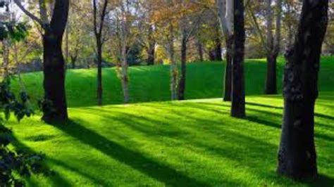 Real Nature Wallpapers Top Free Real Nature Backgrounds Wallpaperaccess