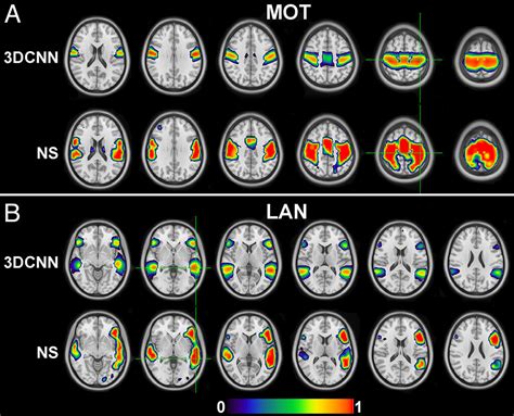 Data Efficient Resting State Functional Magnetic Resonance Imaging Brain Mapping With Deep