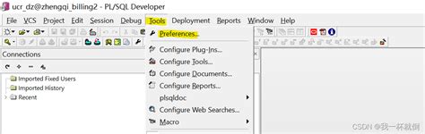 Plsql Developer Ora 12154：could Not Resolve The Connect Identifier