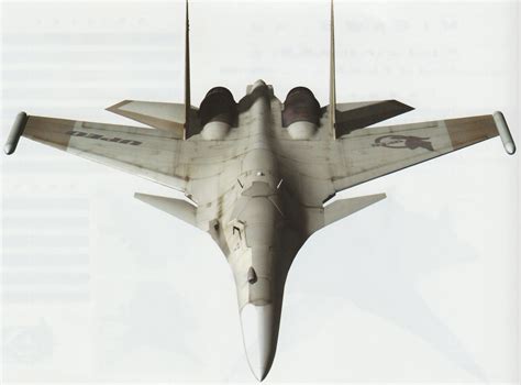 Su 37 Super Flanker Acepedia Fandom Powered By Wikia