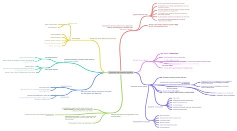 Autonomic And Endocrine Systems Coggle Diagram